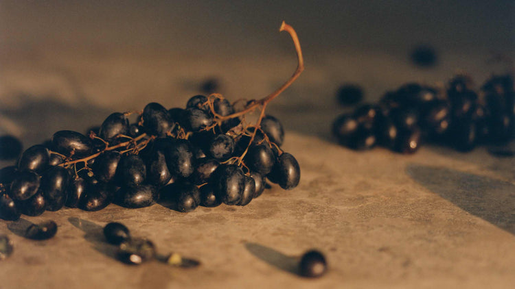 Anti-oxidants in skin care | Aesop Malaysia